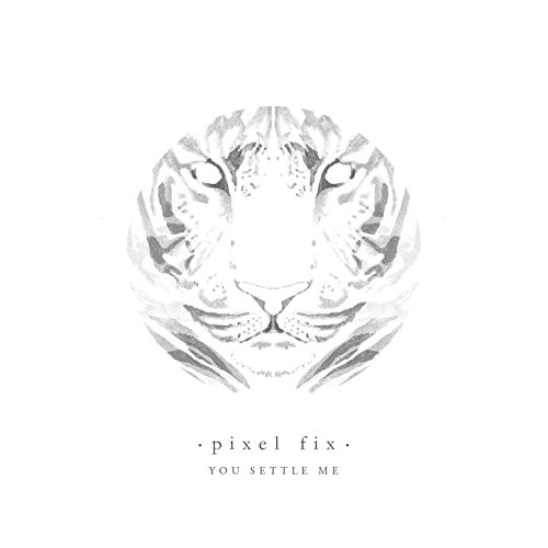 Amazon.com: You Settle Me : Pixel Fix: Digital Music