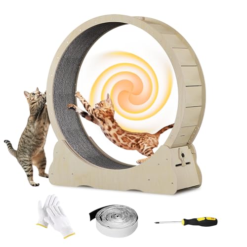 Amazon Best Sellers: Best Small Animal Exercise Wheels