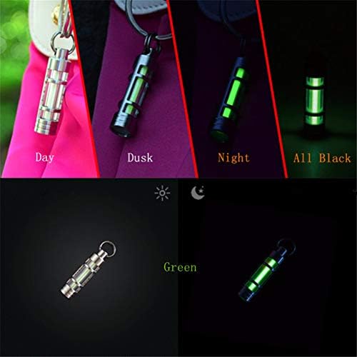 Amazon.com: NyLeabon Key Chain Tube Lamp Self Luminous 25 Years ...