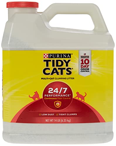 amazon.ae Best Sellers: The best items in Cat Litter & Housebreaking ...