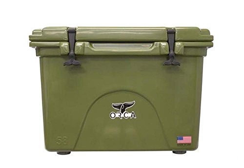 Coooler – The 16 best products compared - Wild Explained