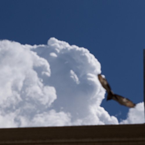 Amazon.co.jp: Rohan's Western Skies : Michael Shimkus: デジタルミュージック