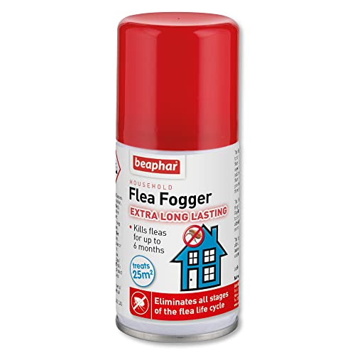 Best Flea Fogger UK - Internet Eyes