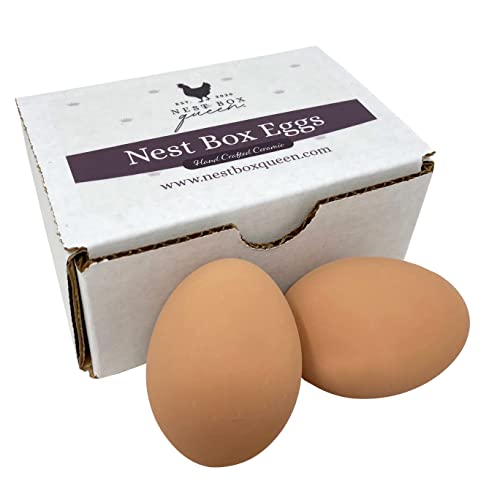 Cracking the Code: Top 10 Egg Boxes for Happy and Healthy Chickens - A ...
