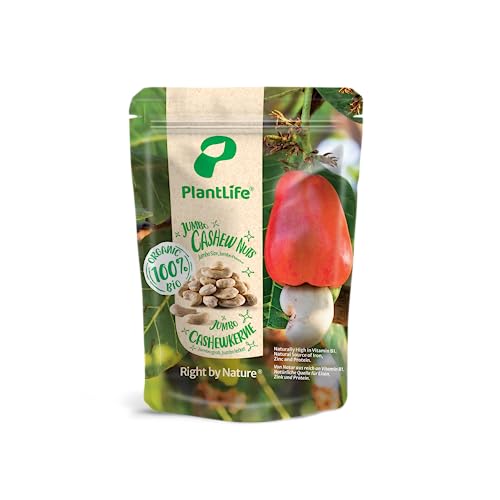 Anacardos Mercadona: Precios y opciones naturales y sin sal - Mi Hogar