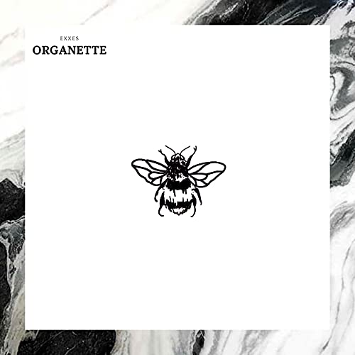 Organette de Exxes en Amazon Music Unlimited