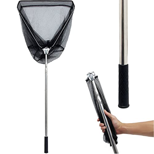 Foldable Fishing Net Long Handle Freshwater, Landing Fish Nets for ...