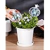 Amazon.com: NiHome Large Plant Watering Globes 2-Pack, Iridescent Glass Cactus Self Watering ...