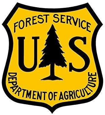 Amazon.com: JR Studio 2x5x2.5 inch SCHOOLBUS Yellow US Forestry Logo ...