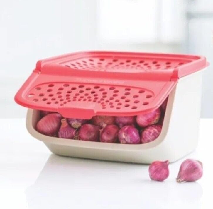 Buy CELLO MF Plastic Onion and Potato Keeper | Easy-Open Lid |Air Tight ...