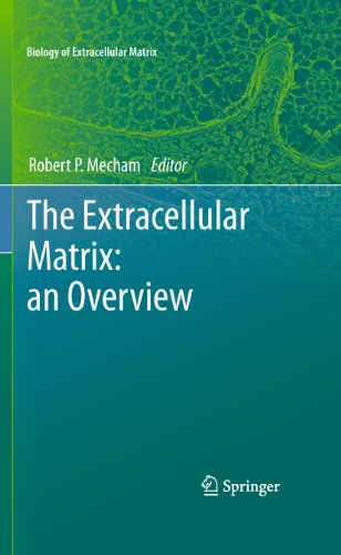 The Extracellular Matrix: an Overview (Biology of Extracellular Matrix ...