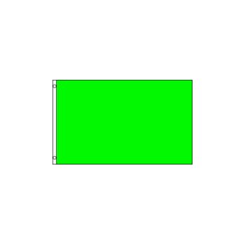 Amazon.com : Neon Green Solid Color 3x5 ft Polyester Flag : Garden ...