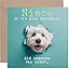 Niece Birthday Card - Did Someone Say Cake? - Happy Birthday Card for ...