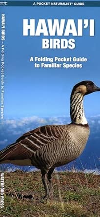 Hawai'i Birds: A Folding Pocket Guide to Familiar Species - Livros na ...