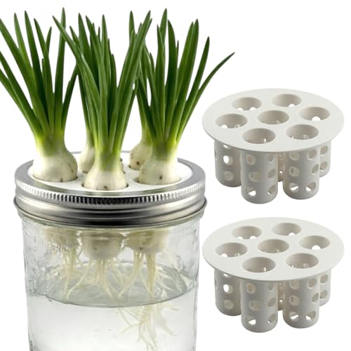 Best Green Onion Growing Trays for Indoor Gardens – Best Garden Hub