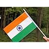 Amazon.com: Ckexin 25Pack Small India Flag Handheld Mini Indian Flags ...
