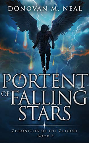 Angel Of Fallen Stars
