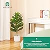 Amazon.com: MOSADE Artificial Fiddle Leaf Fig Tree 37" Fake Potted Ficus Lyrata Plant with ...