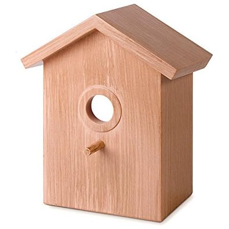 Amazon.com: Spy Birdhouse - Two Way Bird House Windows for Houses ...