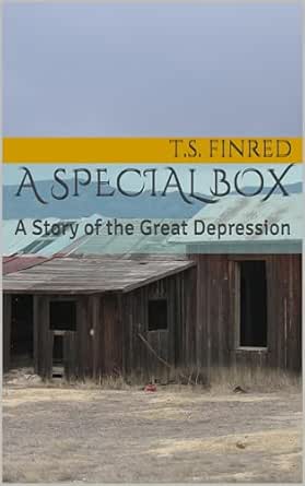 Amazon.com: A Special Box: A Story of the Great Depression (The New ...