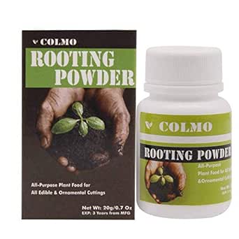 Amazon.com : Colmo Rooting Hormone Powder for cuttings Miracle Grow ...