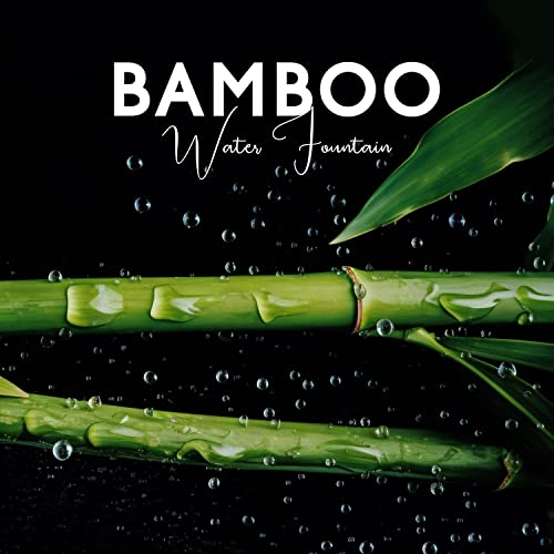 Amazon MusicでPatrick Keys & Meditation GroupのBamboo Water Fountain ...