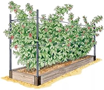 Amazon.com: Gardener's Supply Company - Raised Garden Bed, Raspberry ...