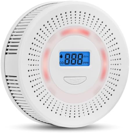 Battery Powered Natural Gas and Carbon Monoxide Detector CH4 ...