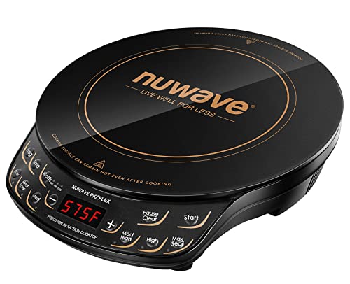 Top 10 Best Induction Heater For Cooking : Reviews & Buying Guide - Katynel