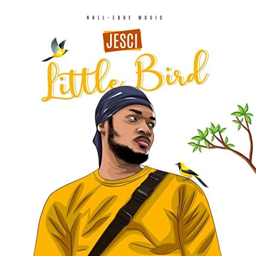 Play Little Bird by Jesci on Amazon Music
