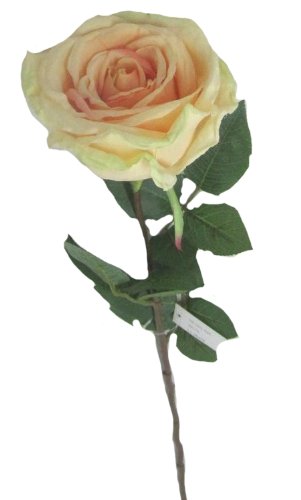 Buy Renaissance 2000 Light Peach Single Calista Rose Stem with 3 Leaves ...