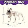 Amazon.com: JOYIN 2 PCS 16" Poseable Dog Skeleton Halloween Decoration ...