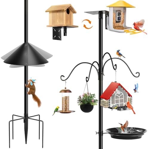 Bird Feeder Station with Squirrel Baffle and Bath,Squirrel Proof for ...