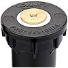 Amazon.com : Orbit 54520 Professional Pop-Up Spray Head Sprinkler with ...