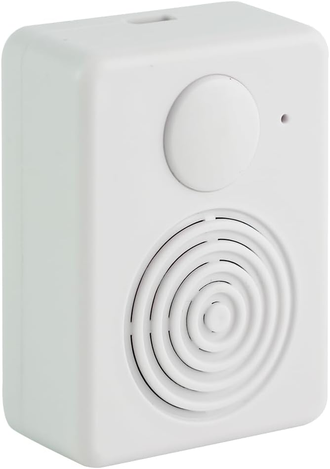 Amazon.com: Voice Recorder Box, Support Bluetooth & MIC Recording Audio ...