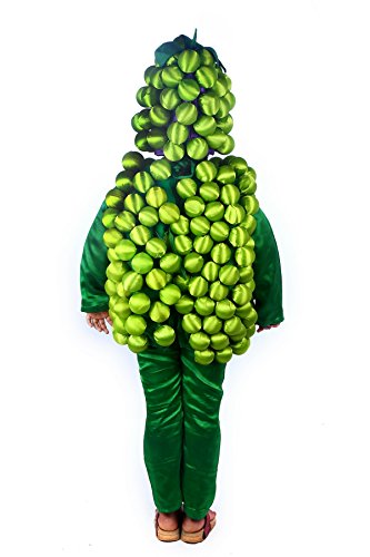 Green Grapes Fruit Fancydress Kids Costume one Time Use Cut Out With ...