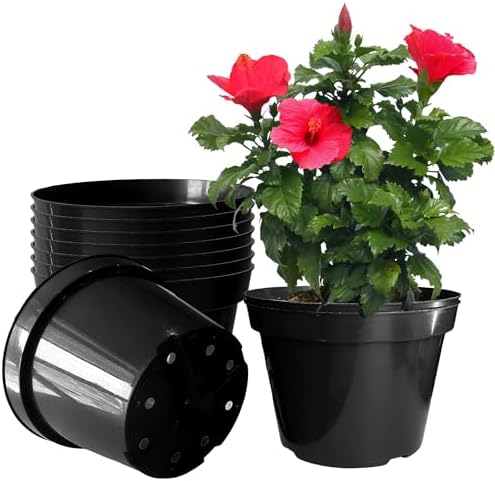 Amazon.com: RooTrimmer 5 Gallon Pots for Plants, 12 Inch Plastic ...