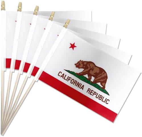 Amazon.com : Pack of 20, Handheld Hawaii Flags 5x8 Inch - Small State ...