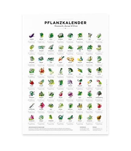 Pflanzplan Pflanzkalender Gemse