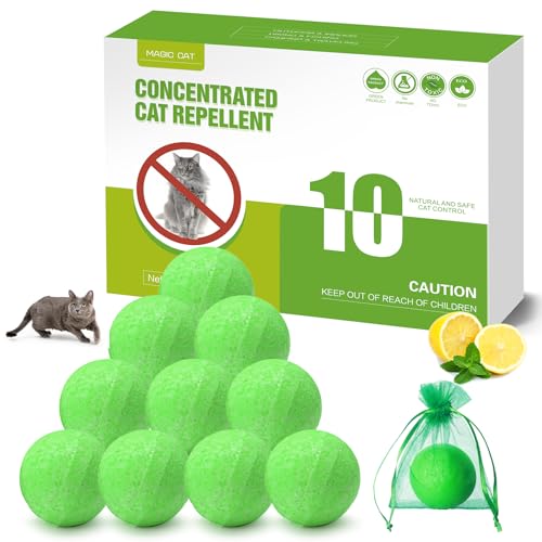 Outdoor Cat Repellent – The 15 best products compared - Wild Explained