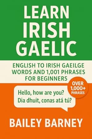 Learn Irish Gaelic: English to Irish Gaeilge Words and 1,001 Phrases ...