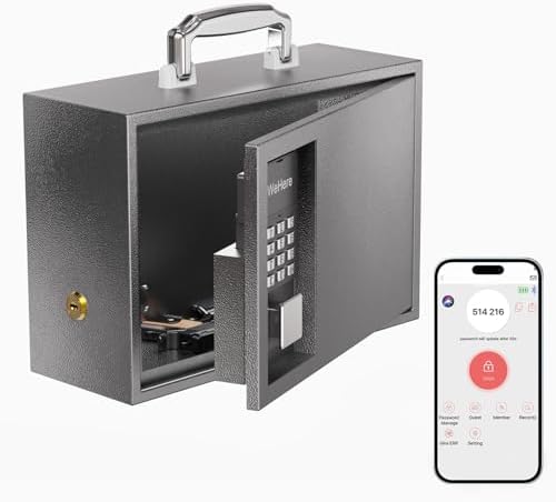 WeHere Portable Safe Box with Keypad Lock, Small Safe Deposit Box for ...