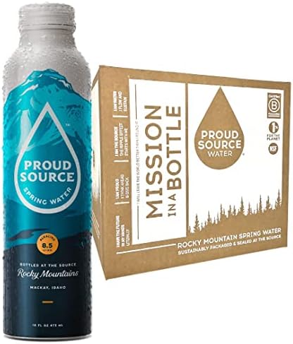 Amazon.com : RAIN, Spring Water, 16 Oz, 24 Pack, Bottled At The Source ...