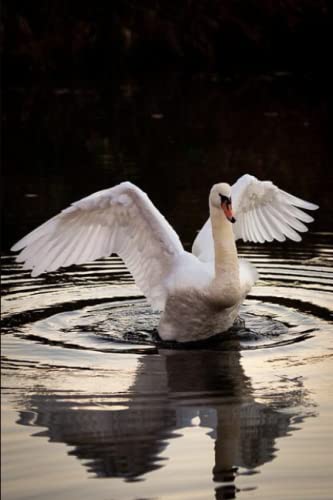 『Swan Notebook: Amazing Swan Notebook Journal Animal Themed For Swan ...
