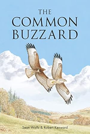 The Common Buzzard (Poyser Monographs): Walls, Sean, Kenward, Robert ...