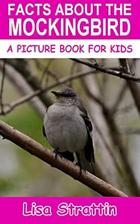 Amazon.com: Facts About the Mockingbird (A Picture Book For Kids 583 ...
