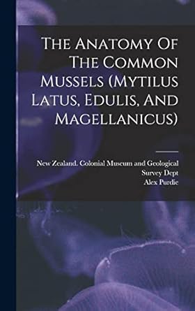 The Anatomy Of The Common Mussels (mytilus Latus, Edulis, And ...
