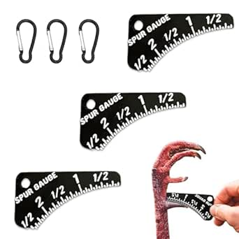 Amazon.com: 3PCS Wild Turkey Spur Gauge Tool: Precision Tool for ...
