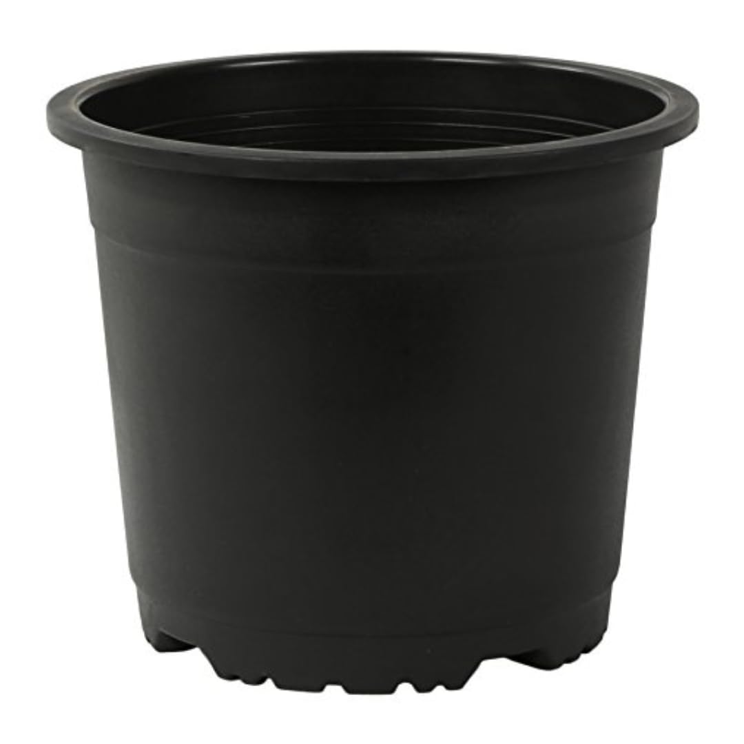 CAPPL 10 Inch Round Pot, Pack of 12, Black, Durable Plant Containers ...