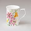 Amazon.com: Grace Teaware Bone China Coffee Tea Mugs 9-Ounce, Assorted ...